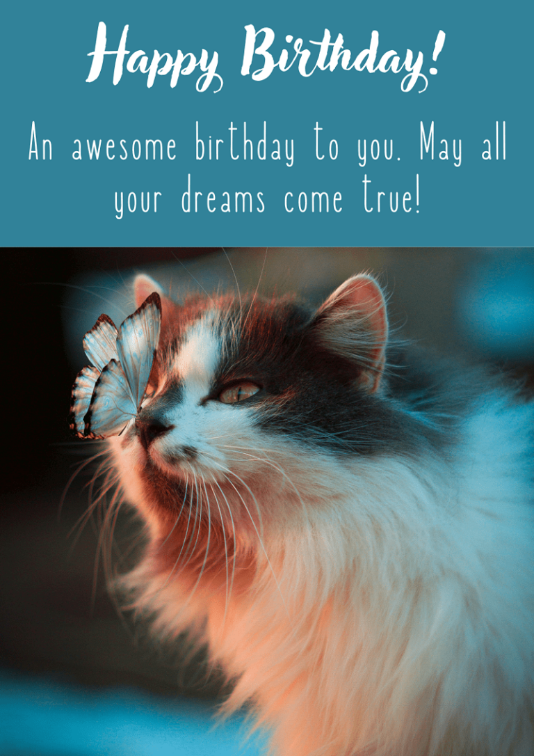 Beautiful Happy Birthday Images with Wishes and Quotes - Moonzori Wishes